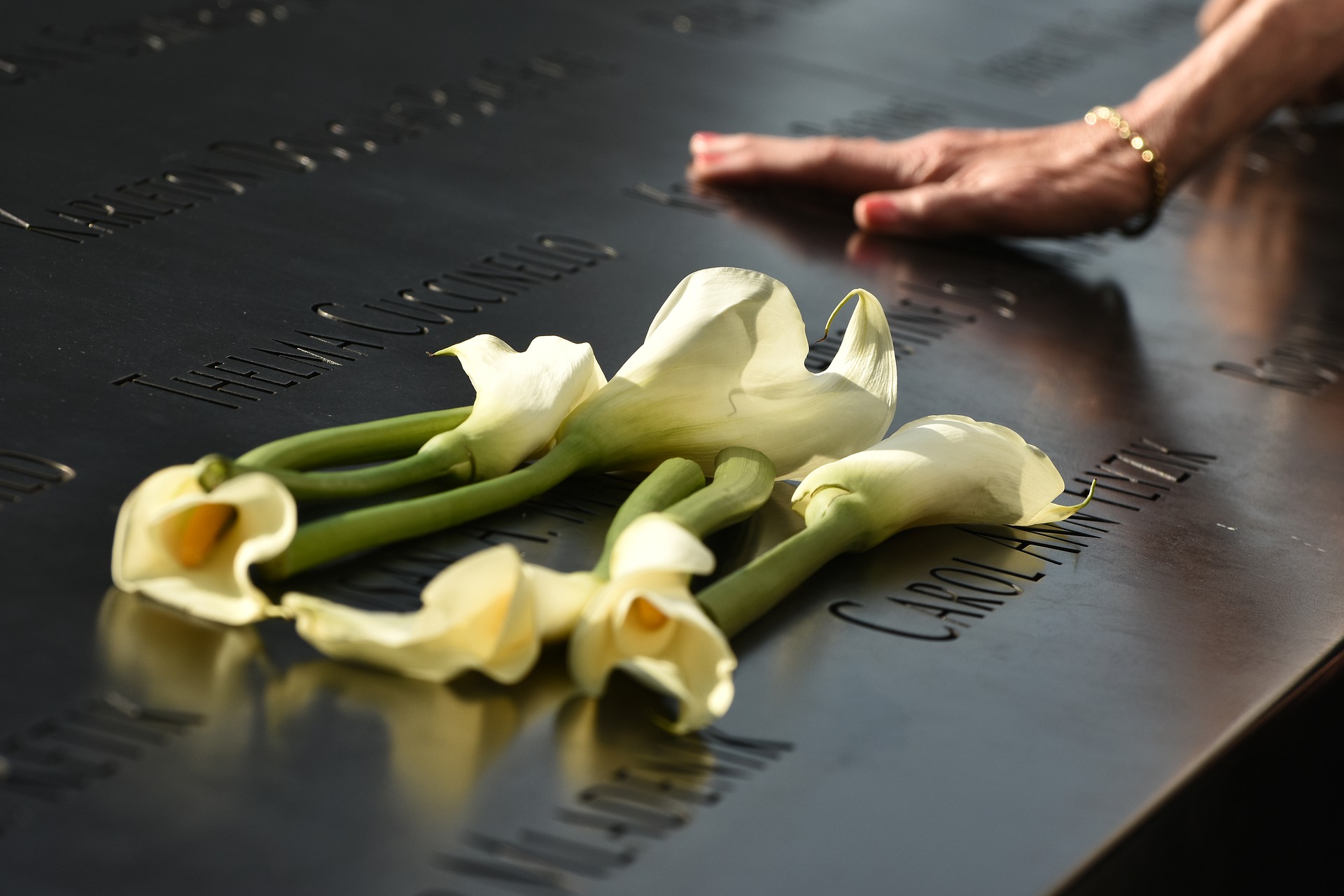 When You Can’t Seem to Heal: Complicated Grief After the Loss of a ...