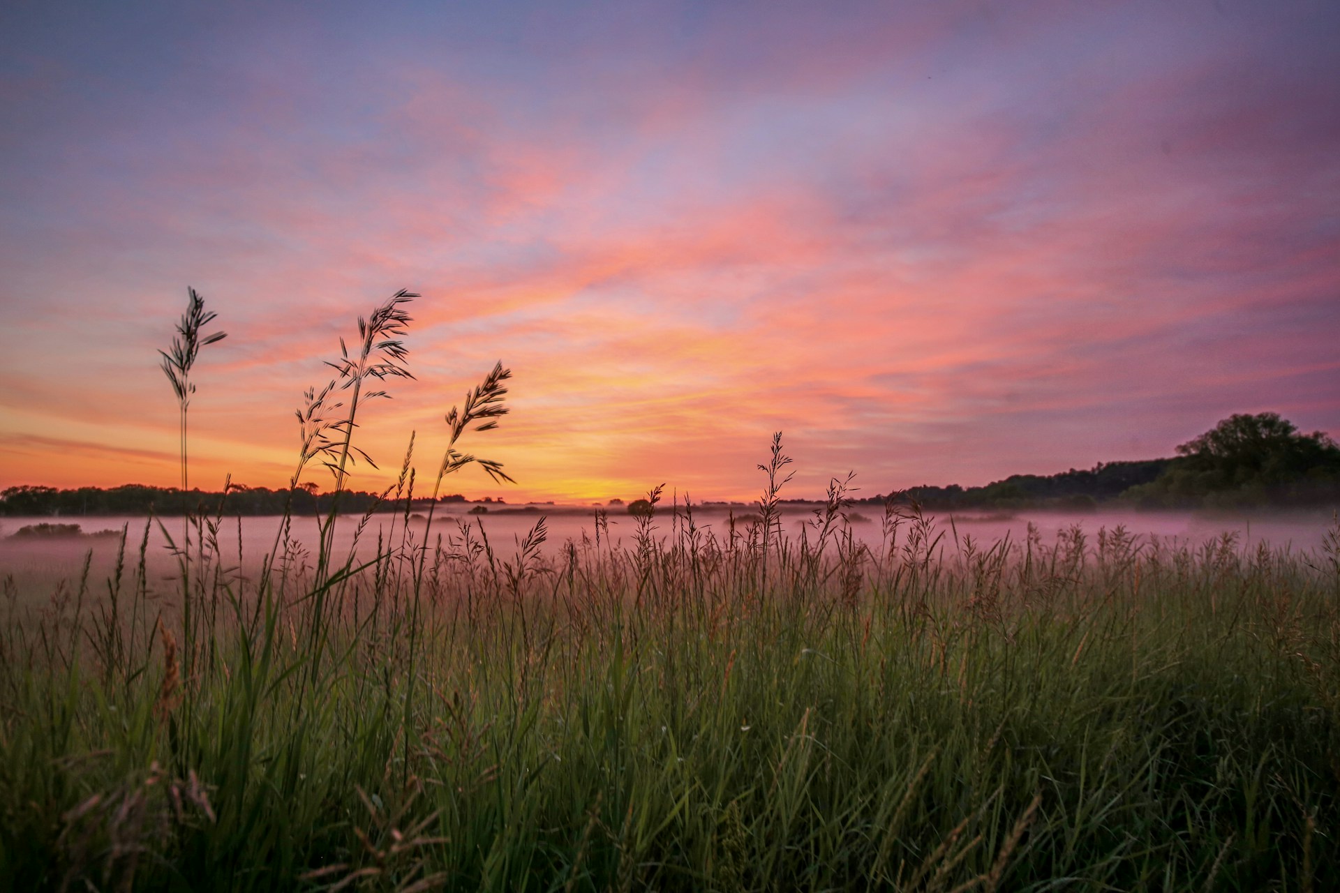 5 Signs of OCD in Adults | Los Angeles Christian Counseling